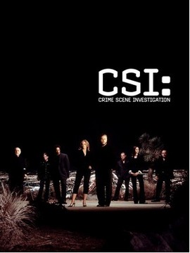 CSI: Crime Scene Investigation Season 13演员表,全部演员表,演员人物介绍_电视剧_电视猫
