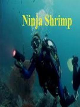 Ninja Shrimp_电视猫